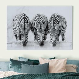 Bilderwelten Akustikbild Tiere schwarz weiss Motiv Schallschutzbild - Zebra Trio schwarz-wei&szlig; - Zebra Wohnzimmer Schlafzimmer