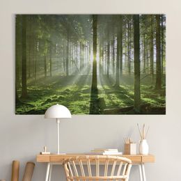 Bilderwelten Akustikbild Wald gr&uuml;n Motiv Schallschutzbild - Spring Fairytale - B&auml;ume Wohnzimmer Schlafzimmer
