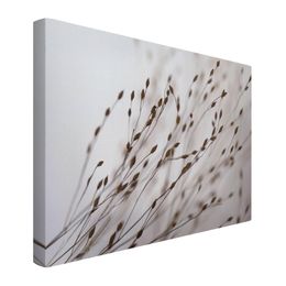 Bilderwelten Akustikbild braun Tropisch Schallschutzbild - Zarte Gr&auml;ser im Windschatten - Gr&auml;ser Wohnzimmer Schlafzimmer