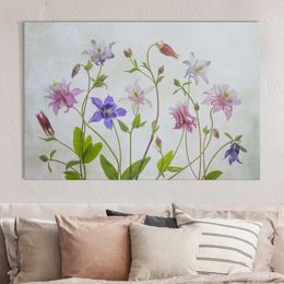 Bilderwelten Akustikbild Blumen beige Motiv Schallschutzbild - Wald-Akelei - Wandbild Wohnzimmer Schlafzimmer