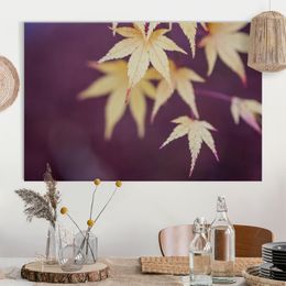 Bilderwelten Akustikbild Stadt violett Motiv Schallschutzbild - Herbstlicher Ahorn - Japan Wohnzimmer Schlafzimmer