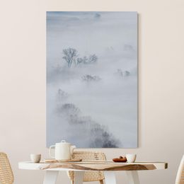 Bilderwelten Akustikbild Wald blau modern Schallschutzbild - K&uuml;hler Nebelmorgen - B&auml;ume Wohnzimmer Schlafzimmer