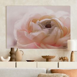 Bilderwelten Akustikbild Rosa Bl&uuml;te im Fokus