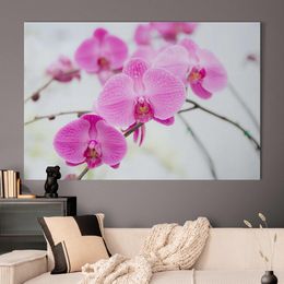 Akustikbild Nahaufnahme Orchidee