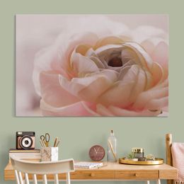 Akustikbild Rosa Bl&uuml;te im Fokus