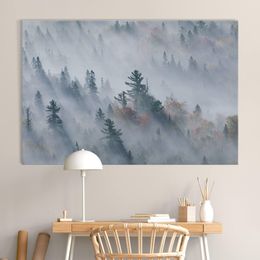 Bilderwelten Akustikbild Wald bunt modern Schallschutzbild - Herbstlicher Nebelwald - B&auml;ume Wohnzimmer Schlafzimmer