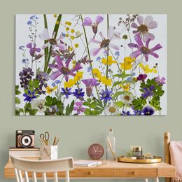 Akustikbild Duftende Blumenwiese