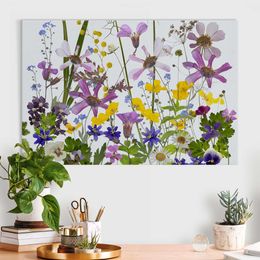 Bilderwelten Akustikbild Blumen bunt Motiv Schallschutzbild - Duftende Blumenwiese - Blumenwiese Wohnzimmer Schlafzimmer