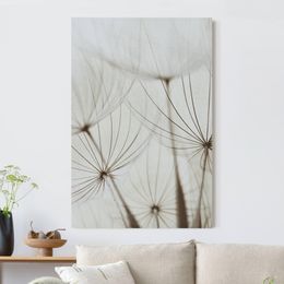 Bilderwelten Akustikbild weiss Tropisch Schallschutzbild - Sanfte Gr&auml;ser - Gr&auml;ser Wohnzimmer Schlafzimmer