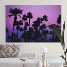 Bilderwelten Akustikbild Tropischer Pinker Sonnenuntergang