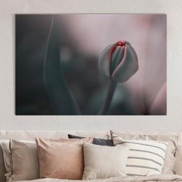 Bilderwelten Akustikbild Blumen rosa modern Schallschutzbild - Sinnliche Tulpe - Wandbild Wohnzimmer Schlafzimmer