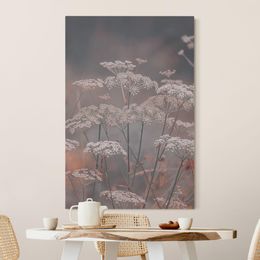 Bilderwelten Akustikbild Blumen rosa Motiv Schallschutzbild - Wilde Doldenbl&uuml;ten - Wandbild Wohnzimmer Schlafzimmer