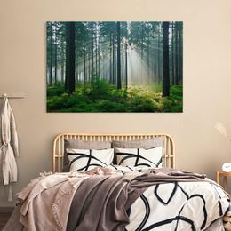 Bilderwelten Akustikbild Wald gr&uuml;n Motiv Schallschutzbild - Enlightened Forest - B&auml;ume Wohnzimmer Schlafzimmer
