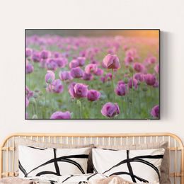 Akustik-Wechselbild Violette Schlafmohn Blumenwiese im Fr&uuml;hling