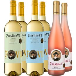 Bodegas Faustino Kennenlern-Paket 2024 Trocken - La Rioja &ndash; Probierpaket Diverse