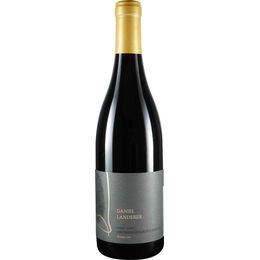 Weingut Daniel Landerer Pinot Noir Phonolith Sp&auml;tburgunder 2024 Trocken - Baden &ndash; Rotwein Qualit&auml;tswein