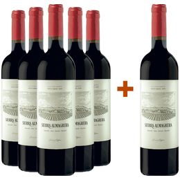 Bodega Sierra Almagrera Aktionspaket 5+1 Tinto Desierto de Almer&iacute;a VT Cuv&eacute;e 2022 Trocken - Andalusien &ndash; Probierpaket IGP