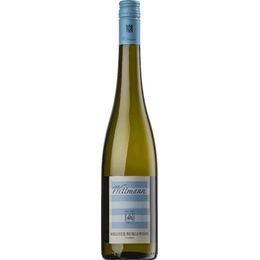 Weingut Wittmann Weisser Burgunder Wei&szlig;burgunder 2025 Trocken - Rheinhessen &ndash; Wei&szlig;wein Qualit&auml;tswein