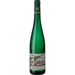 weingut maximin gr&uuml;nhaus Weingut Maximin Gr&uuml;nhaus Herrenberg Grosse Lage Riesling 2024 S&uuml;&szlig; - Mosel &ndash; Wei&szlig;wein Kabinett