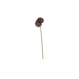 M&ouml;bel Kraft Kunstblume Anthurium rot Kunststoff Ma&szlig;e (cm): H: 67 &Oslash;: 14.0 &raquo; M&ouml;bel Kraft