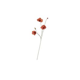 M&ouml;bel Kraft Klatschmohn rot Kunststoff,Polyester Ma&szlig;e (cm): H: 107 &raquo; M&ouml;bel Kraft