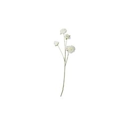 H&ouml;ffner Deko Peonie wei&szlig; Kunststoff Ma&szlig;e (cm): H: 110 &raquo; H&ouml;ffner