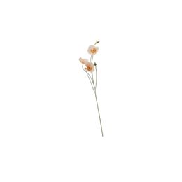 H&ouml;ffner Klatschmohn orange Kunststoff,Polyester Ma&szlig;e (cm): H: 107 &raquo; H&ouml;ffner