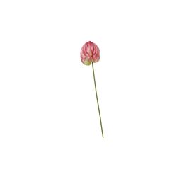 H&ouml;ffner Kunstblume Anthurium rosa/pink Kunststoff Ma&szlig;e (cm): H: 67 &Oslash;: 14 &raquo; H&ouml;ffner