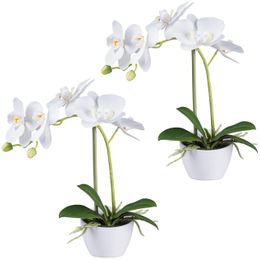 Kunstorchidee Creativ green "Orchidee Phalaenopsis", wei&szlig;, H:33cm, Kunststoff, Kunstpflanzen, im Design-Topf