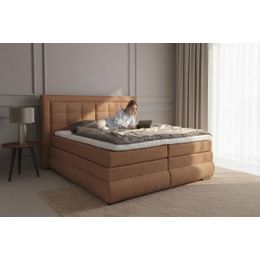 Boxspringbett OTTO HOME "MIVVA inkl. Bettkasten und Topper, Komfortliegeh&ouml;he: 67 cm", terra, B:204cm L:215cm, Holz teilmassiv, Holzwerkstoff, Spanplatte, Komplettbetten, Boxspringbett, in H3, H4 oder Hmix H3/H4, wahlweise mit oder ohne LED-Leuchten