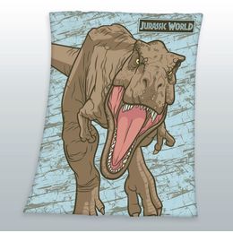 Kinderdecke Jurassic World "Jurassic World", bunt, B:130cm L:170cm, Polyester, Wohndecken, mit tollem Jurassic World Motiv
