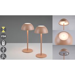 LED Au&szlig;en-Tischleuchte REALITY LEUCHTEN "RICARDO Tischleuchte 2er-Set", braun (coffee), H:30cm &Oslash;:13,5cm, Leuchten, 2er Set Outdoor Akku Tischlampe Pilzdesign USB-C 4-fach Touch Dimmer