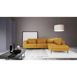 Ecksofa Trendmanufaktur "Luzi, wahlweise mit Schlaffunktion und Bettkasten, gem&uuml;tlich, L-Form", orange (golden orange), Sofas, B/H/T: 264cm x 80cm x 203cm, Samtvelours, Ottomane rechts, ohne Schlaffunktion, ohne Bettkasten, 100% Polyester, Ecksofa, Designsofa mit Ottomane, Metallf&uuml;&szlig;e schwarz, Breite 264 cm, B:264cm H:80cm T:203cm