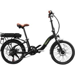 E-Bike SACHSENRAD "F2 mit Alarmanlage" Gr. 42, schwarz, Elektrofahrr&auml;der, 48cm, 20 Zoll (50,80cm), LCD-Steuerdisplay, Fahrmodus Pedelec, LED-Frontlicht, LED-R&uuml;cklicht
