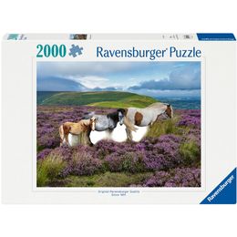 Puzzle Ravensburger "Wildpferde in der Heide", bunt, Puzzles, KinderB:98cm H:75cm, Pappe, Motiv, Made in Germany, B:98cm H:75cm