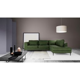 Ecksofa Trendmanufaktur "Luzi, wahlweise mit Schlaffunktion und Bettkasten, gem&uuml;tlich, L-Form", gr&uuml;n (rain forest), Sofas, B/H/T: 264cm x 80cm x 203cm, Samtvelours, Ottomane rechts, ohne Schlaffunktion, ohne Bettkasten, 100% Polyester, Ecksofa, Designsofa mit Ottomane, Metallf&uuml;&szlig;e schwarz, Breite 264 cm, B:264cm H:80cm T:203cm