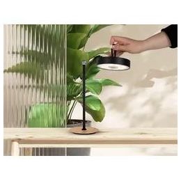 OTTO HOME LED Tischleuchte "Ellvra mit Holzfu&szlig;, abnehmbares Kopfteil als H&auml;ngeleuchte verwendbar", schwarz, 1, &Oslash; 12,5cm H: 35cm, 1 Stk., Leuchten, aufladbar, inkl Akku + USB Kabel, Kopfteil magnetisch, abnehmbar, Holz, LED Tischleuchte, Topseller