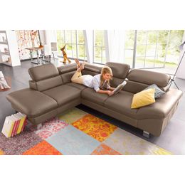 Ecksofa COTTA "Driver L-Form", stein, B:268cm H:73cm T:214cm, Kunstleder SOFTLUX;LEDER BEEFY (ein abgedecktes Spalt-Rindsleder) im Sitz und R&uuml;cken (Korpus in Kunstleder);Luxus-Kunstleder;Leder Pampas (echtes Rindsleder) im Sitz und R&uuml;cken (R&uuml;ckseite mit Spannstoff bezogen), Sofas, Ecksofa, mit Kopfteilverstellung, wahlweise mit Bettfunktion & Bettkasten