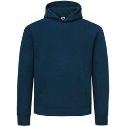 Fruit of the Loom - Kapuzenpullover f&uuml;r Herren (Bergblau)