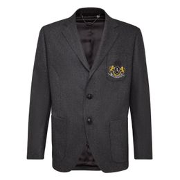 Blazer Lion