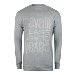 Cavalli Class Sweatshirt Mit Mehreren Logos In Grau