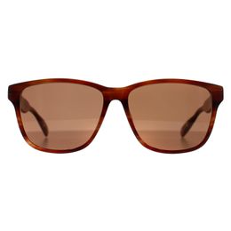 Ted Baker TB8232 151 braun Horn braun Sonnenbrille