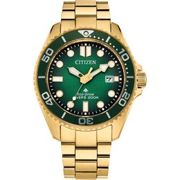 Citizen Promaster Dive Gold Herren Armbanduhr BN0262-59W