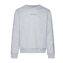 Herren Calvin Klein Pullover Sweatshirt in Grau