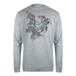 Cavalli Class - Graues Sweatshirt Mit Paisley-leoparden-design