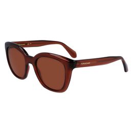 Braune Einspritzungssonnenbrille