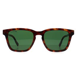 Lacoste L987S 240 schildpatt gr&Atilde;&frac14;n Sonnenbrille