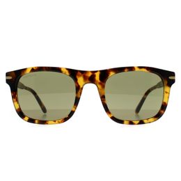 Serengeti Charlton SS576006 gl&Atilde;&curren;nzende klassische havanna Mineral polarisierte 555nm photochrome Sonnenbrille