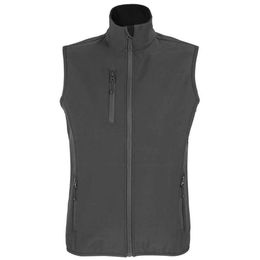 SOLS Womens/Ladies Falcon Softshell Recycled Body Warmer (Holzkohle)