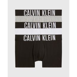 Calvin Klein Intense Power Herren Trunks 3er-Pack